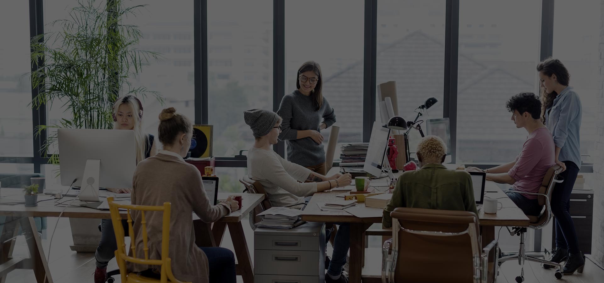 Current Vacancy - Radicle Inc